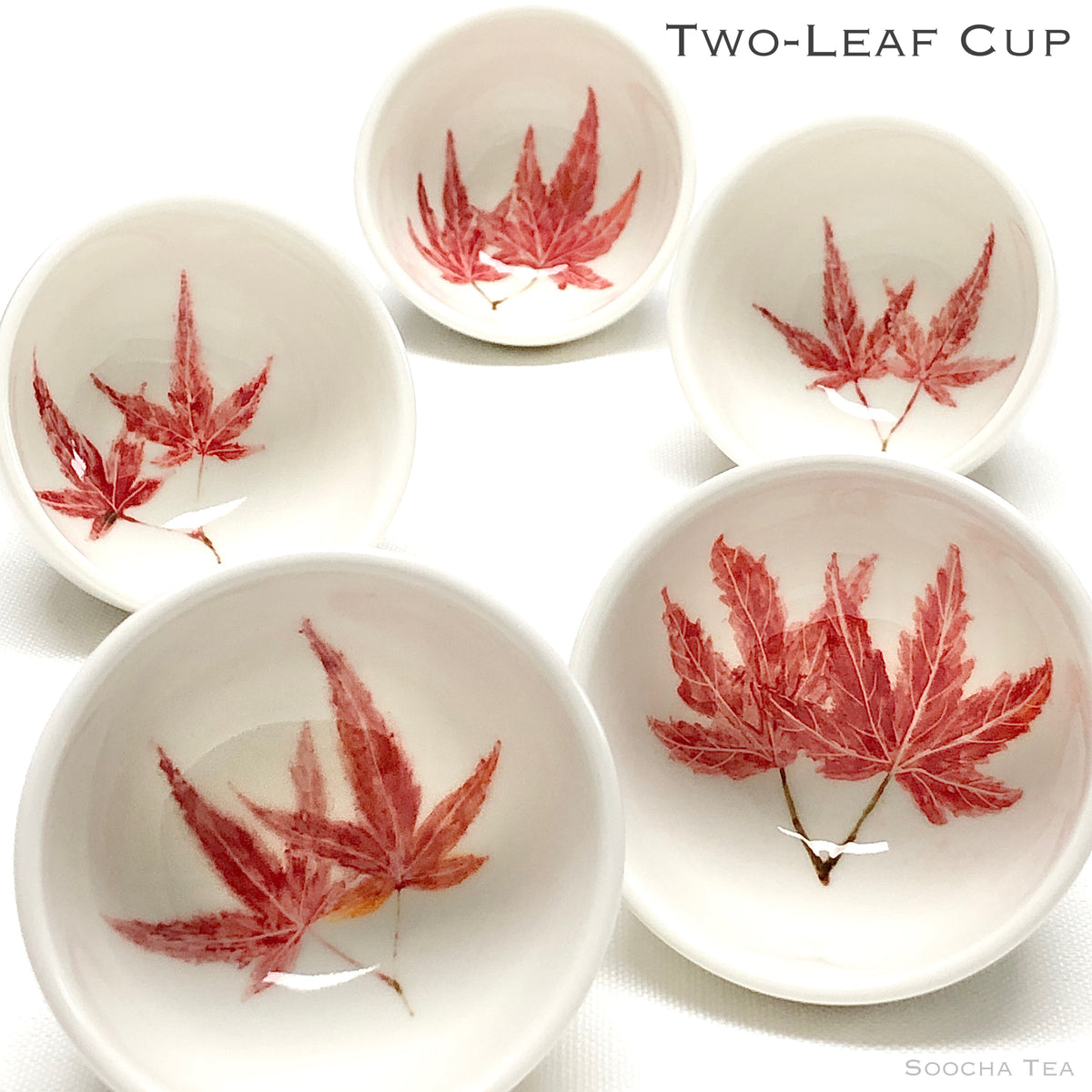 maple-leaf-tea-cup-soocha-tea